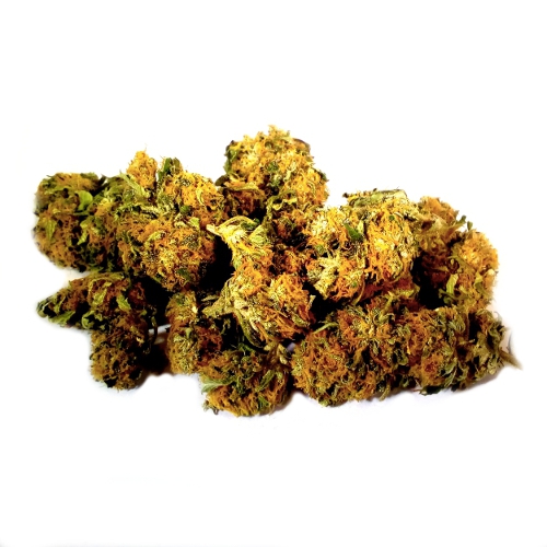 Cali Kush Farms - female cannabisseeds from California