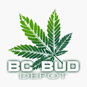 BC Bud Depot - superb cannabis seed bank for growers
